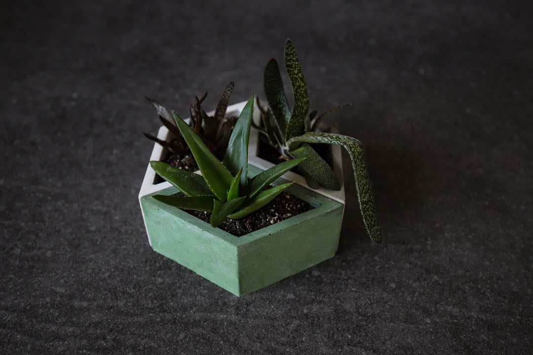 Geometric Rhombus Planter, Handmade Concrete Pot, Minimalist Cement ...
