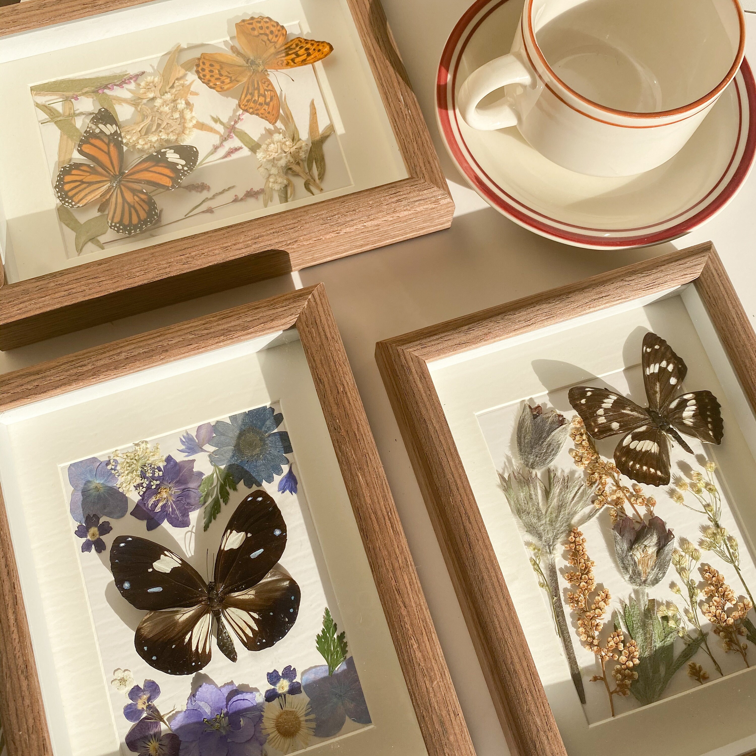 Set of 3 Pressed Flower Frame Pressed Flowers Pressed Art Flower Gift ...