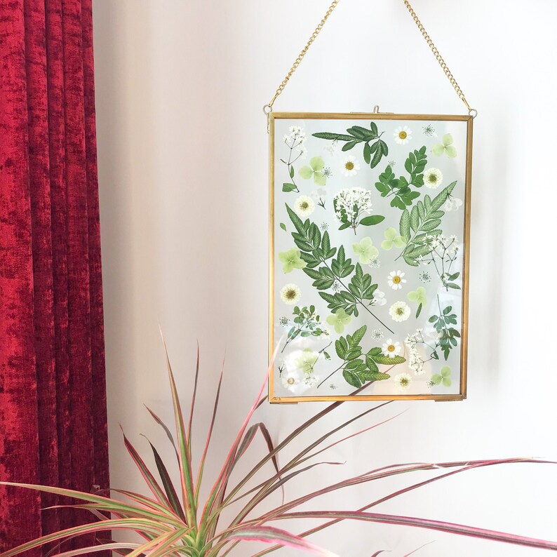 Botanical Dried Pressed Flower Frame Hanging Gold Wall Hanging - Etsy