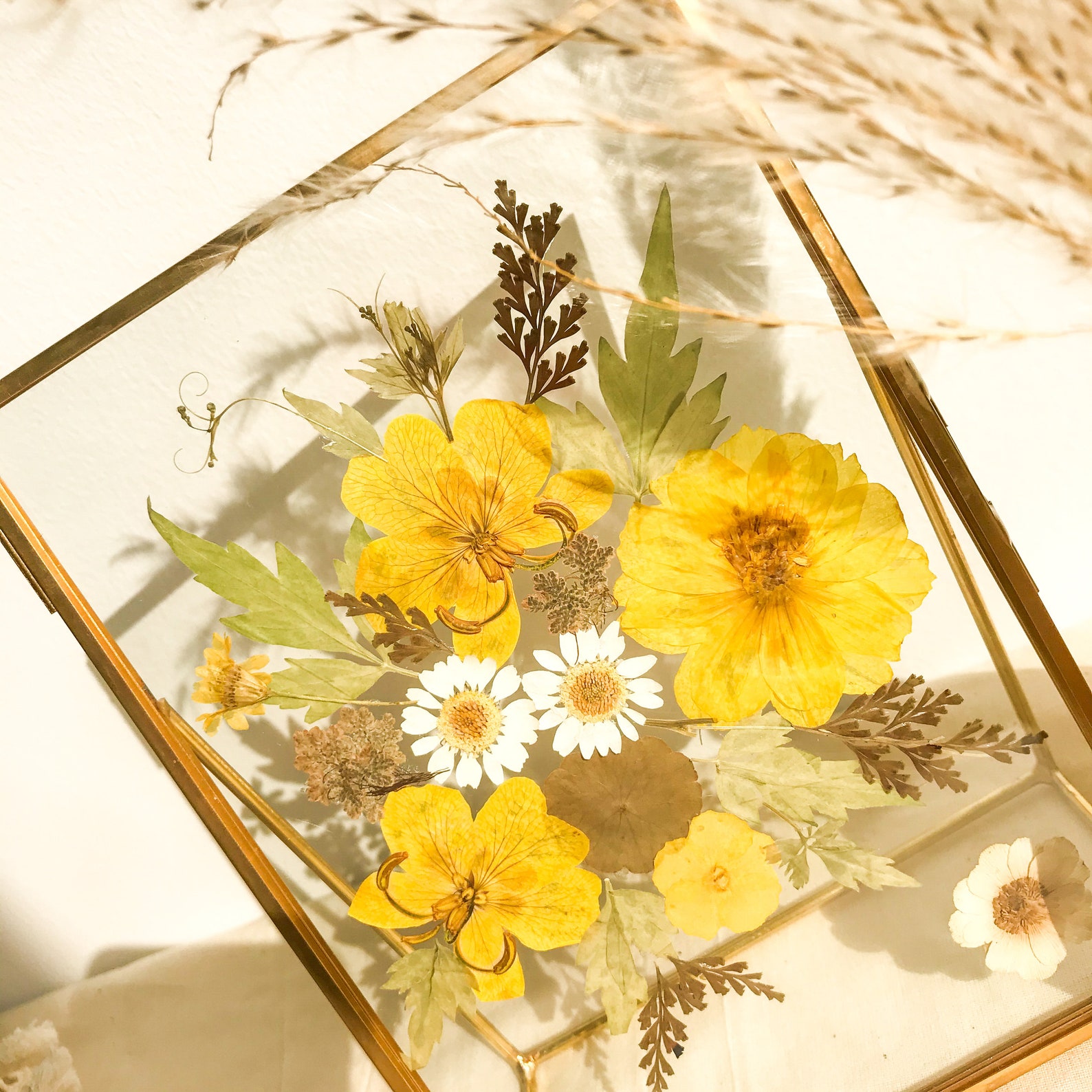 Pressed Flower Frame Pressed Flowers Pressed Art Flower Gift - Etsy