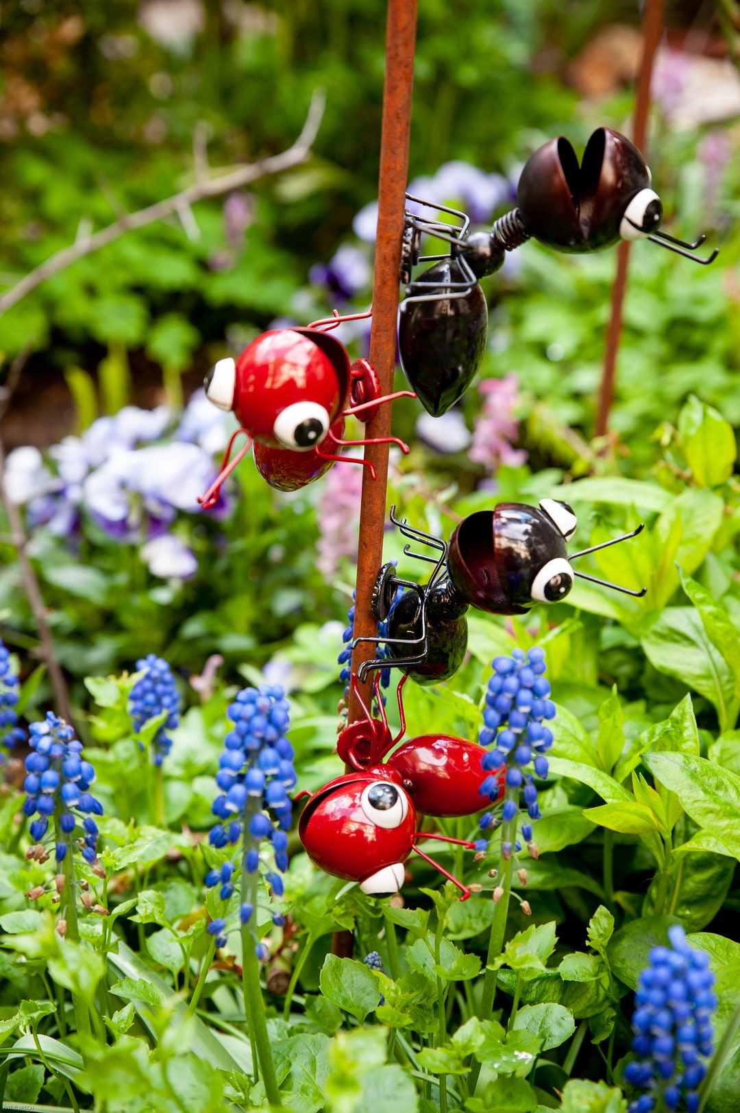 Magnet Ants Red Set of 2 Approx. 9 - Decorative Figure - Etsy