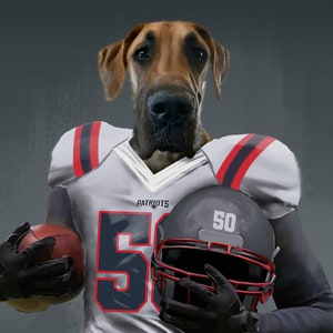 Custom Pet Portrait Football New England Patriots Canvas Funny Pet ...