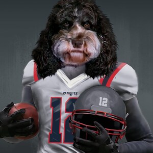 Custom Pet Portrait Football New England Patriots Canvas Funny Pet ...