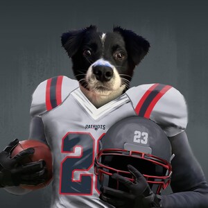 Custom Pet Portrait Football New England Patriots Canvas Funny Pet ...