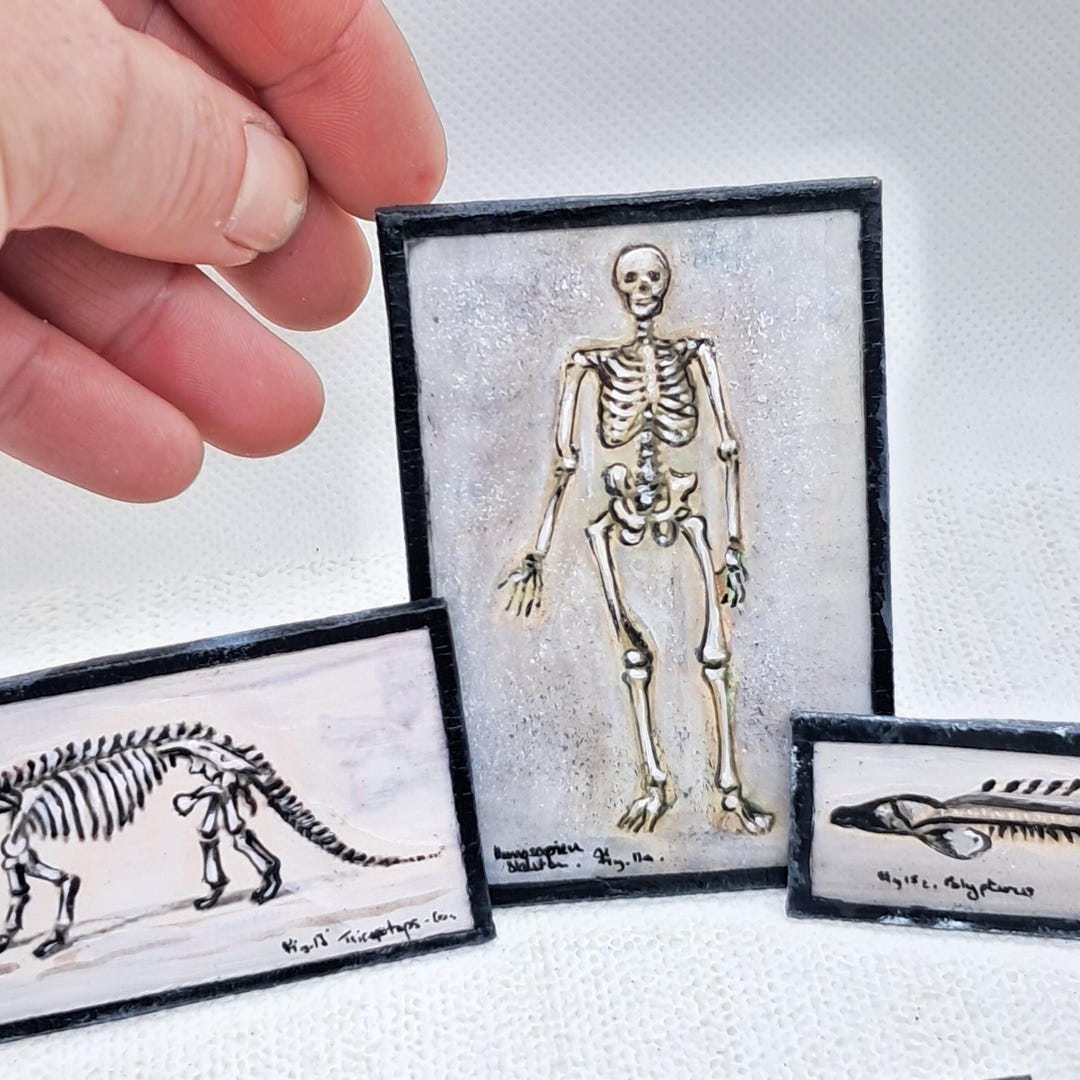 Miniature Skeletons, 1:12th Scale Dollhouse Skeleton Art - Etsy