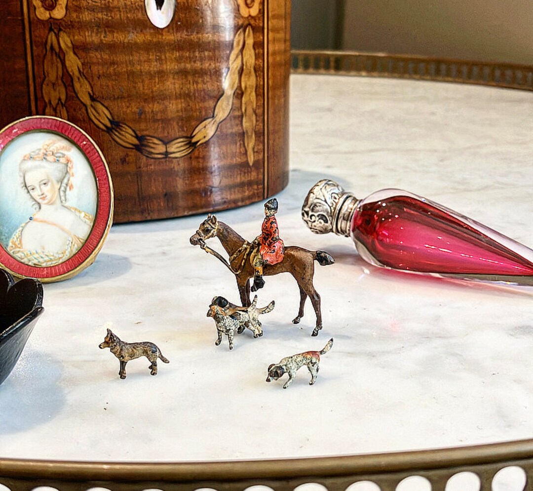 Charlie Fox Gets the Party Started in the Library.an - Etsy