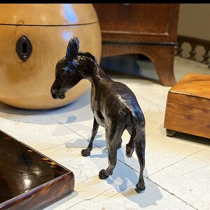 You Can Talk the Hind Legs off a Donkey the Snotty Lady Catherine De ...