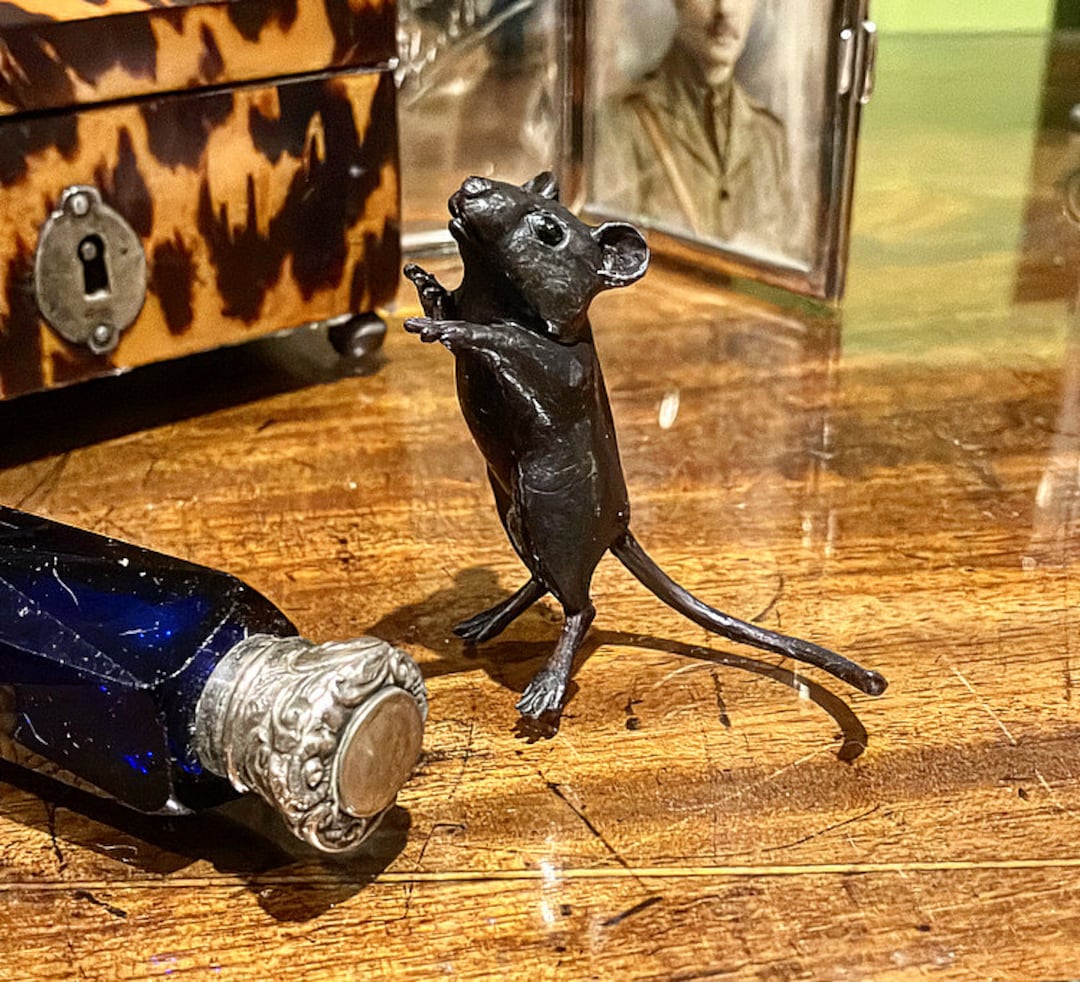 Everyone Needs a Cheeky Mouse in Their Drawing Room!a Charming Little ...