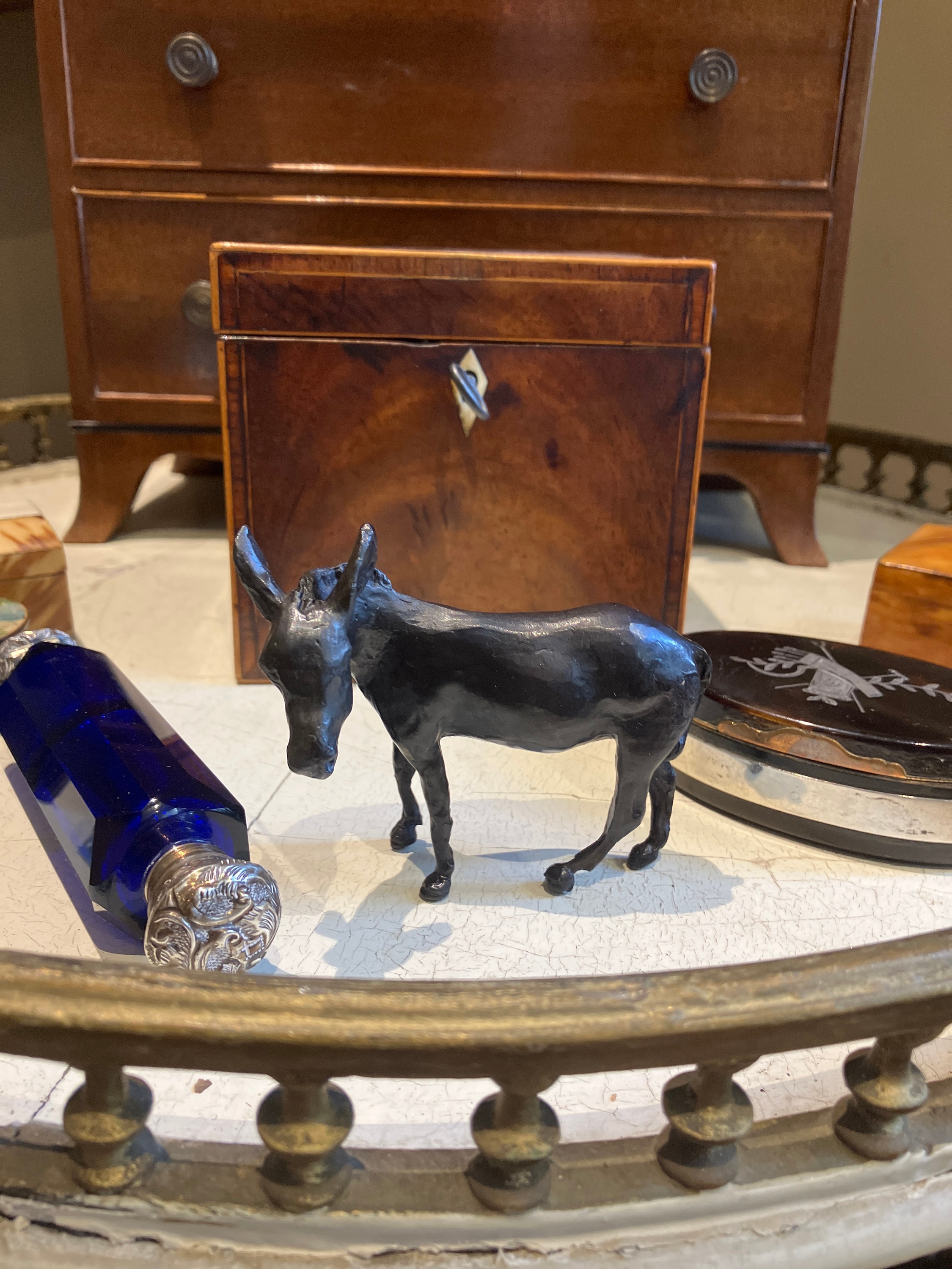 You Can Talk the Hind Legs off a Donkey the Snotty Lady Catherine De ...