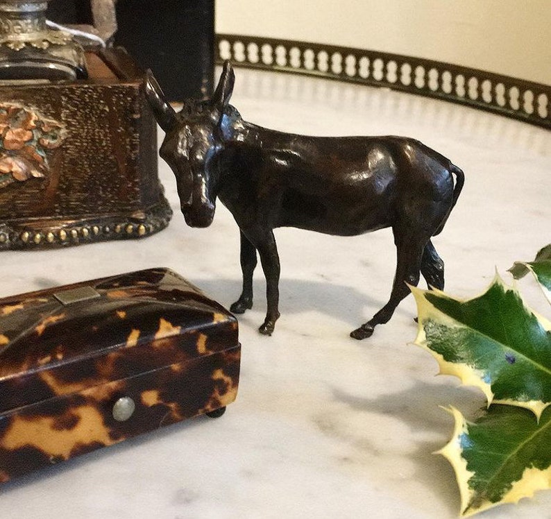 You Can Talk the Hind Legs off a Donkey the Snotty Lady Catherine De ...