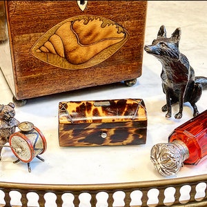 Tortoiseshell - Etsy