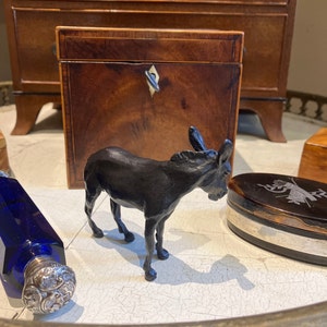 You Can Talk the Hind Legs off a Donkey the Snotty Lady Catherine De ...