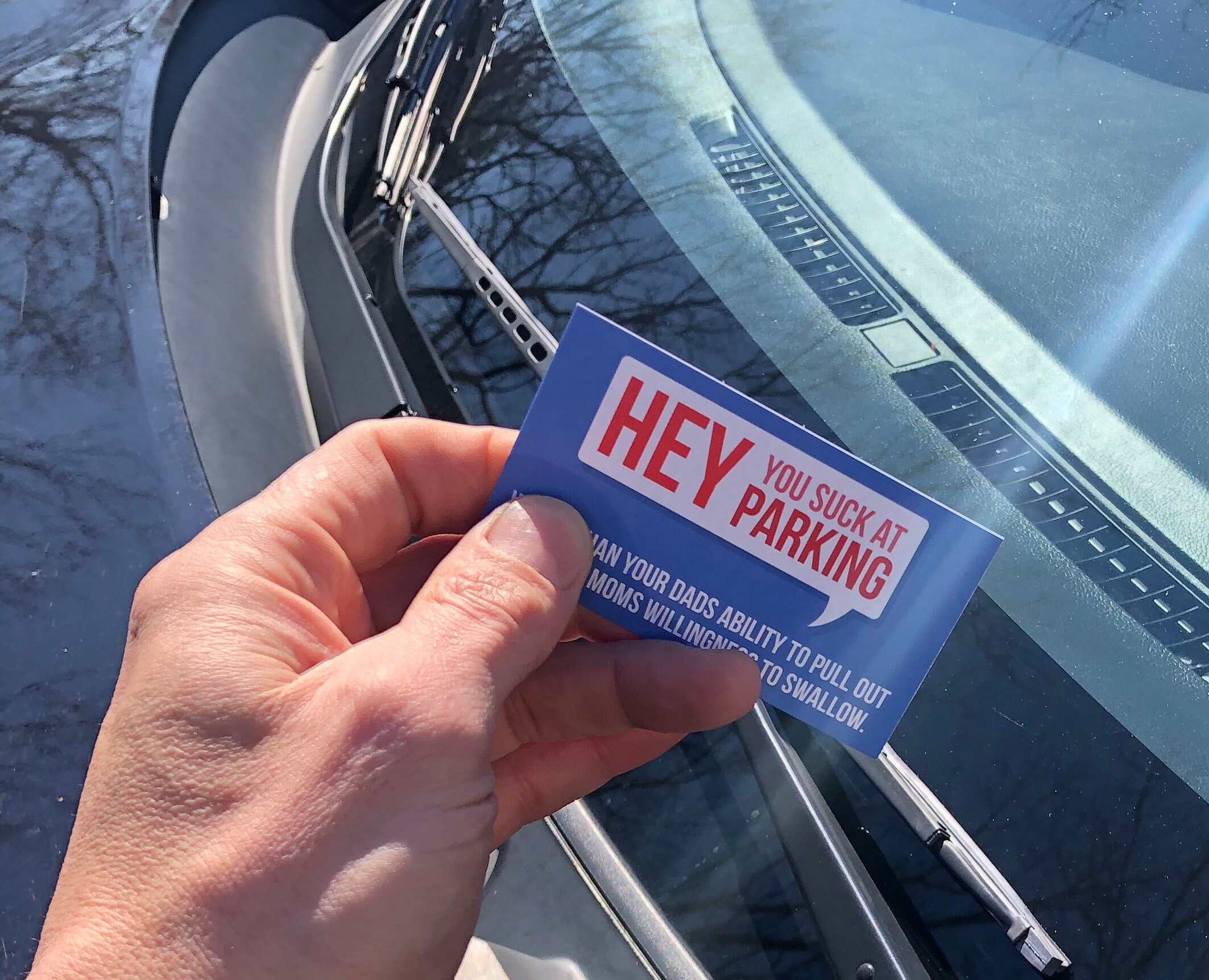 50 HEY YOU SUCK Parking Cards - Etsy