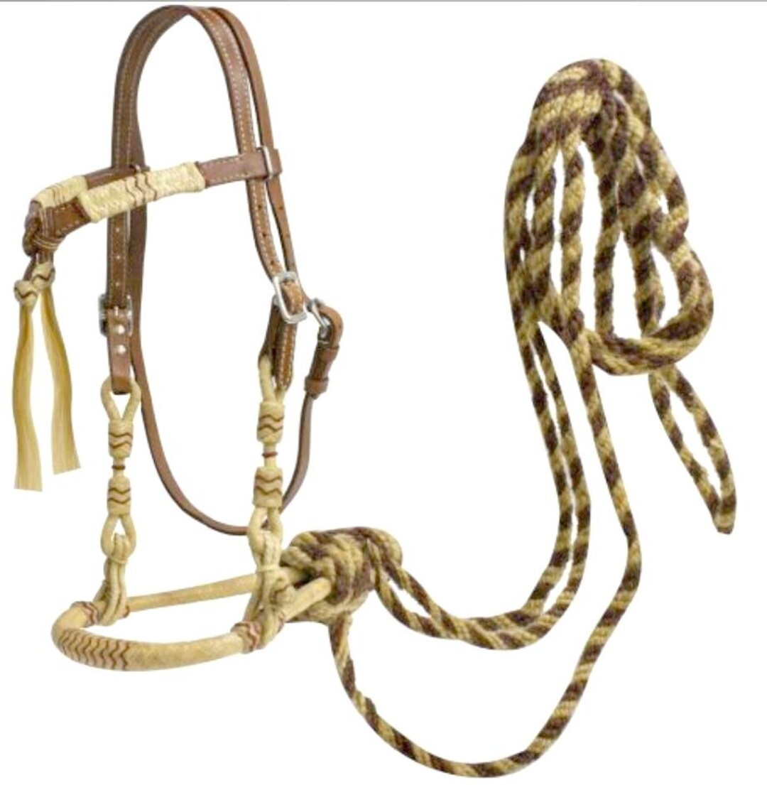 SALE Horse Leather Futurity Knot Headstall Rawhide Braided Bosal Horse ...
