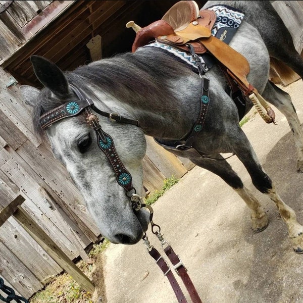 Arabian Horse Tack - Etsy