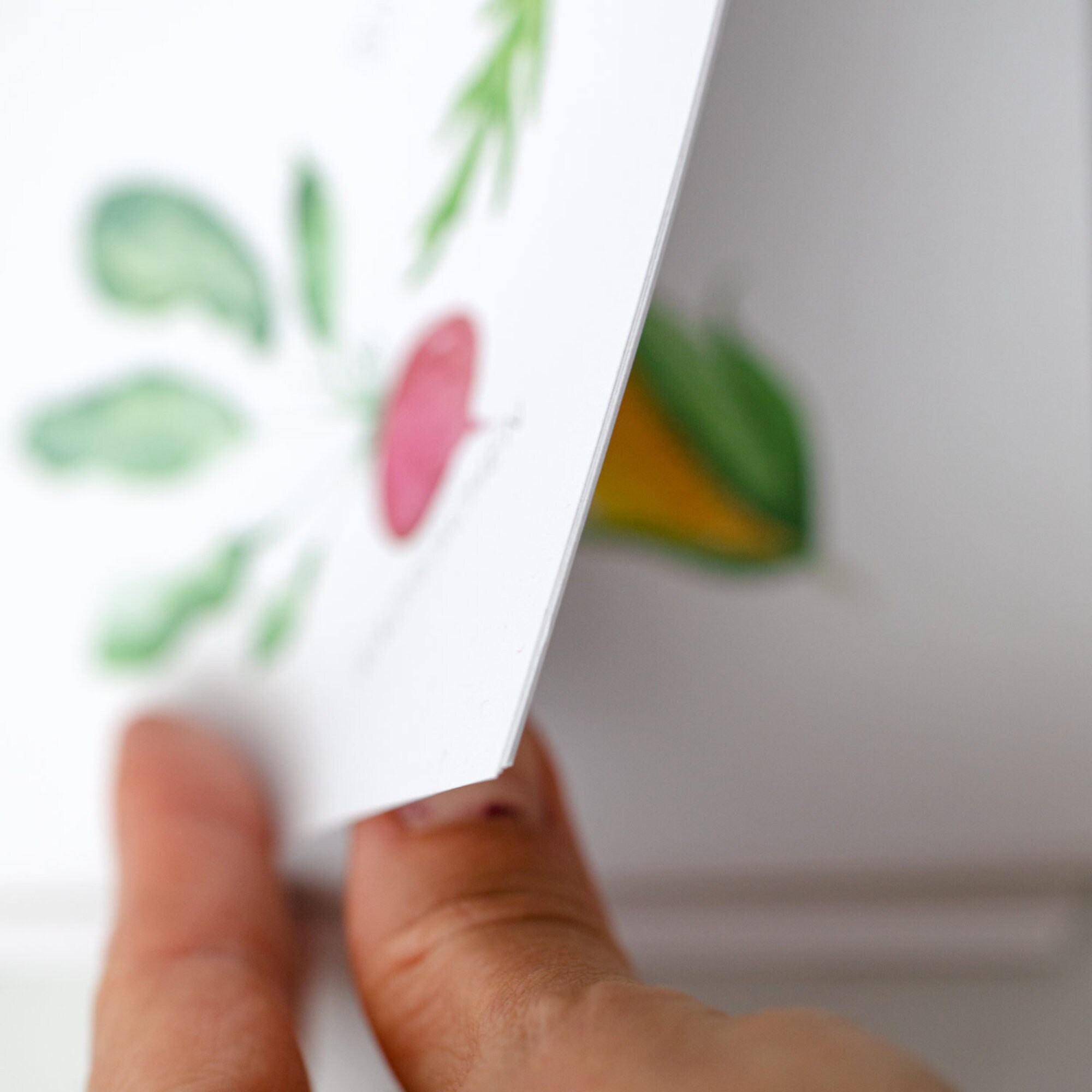 Dein Saisonkalender für heimisches Obst und Gemüse | klimaneutral ...