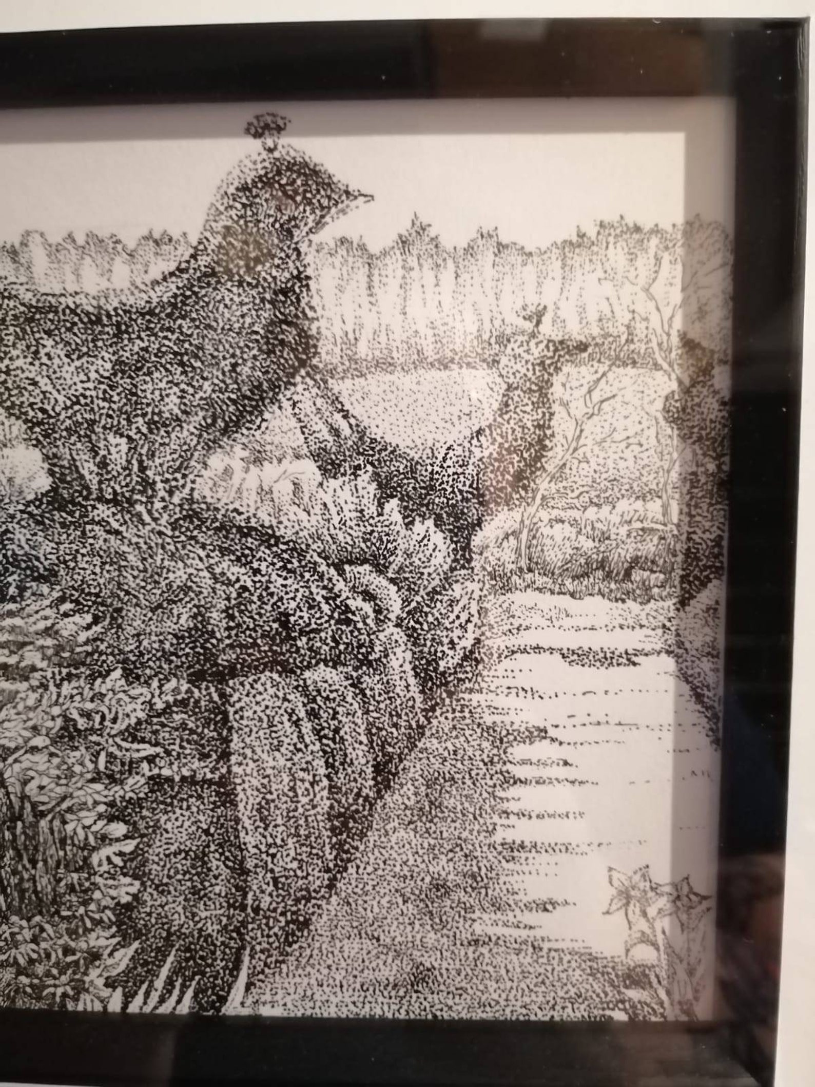 Detailed Pen Drawing. Garden Scene. Landscape Drawing With Flowers ...