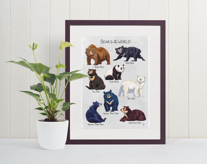 The Bear, A2 Screenprint, Children's Book Illustration - Etsy Canada
