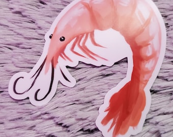 Cute Shrimp Sticker Cute Animal Sticker Shrimp Sticker Cute Food ...