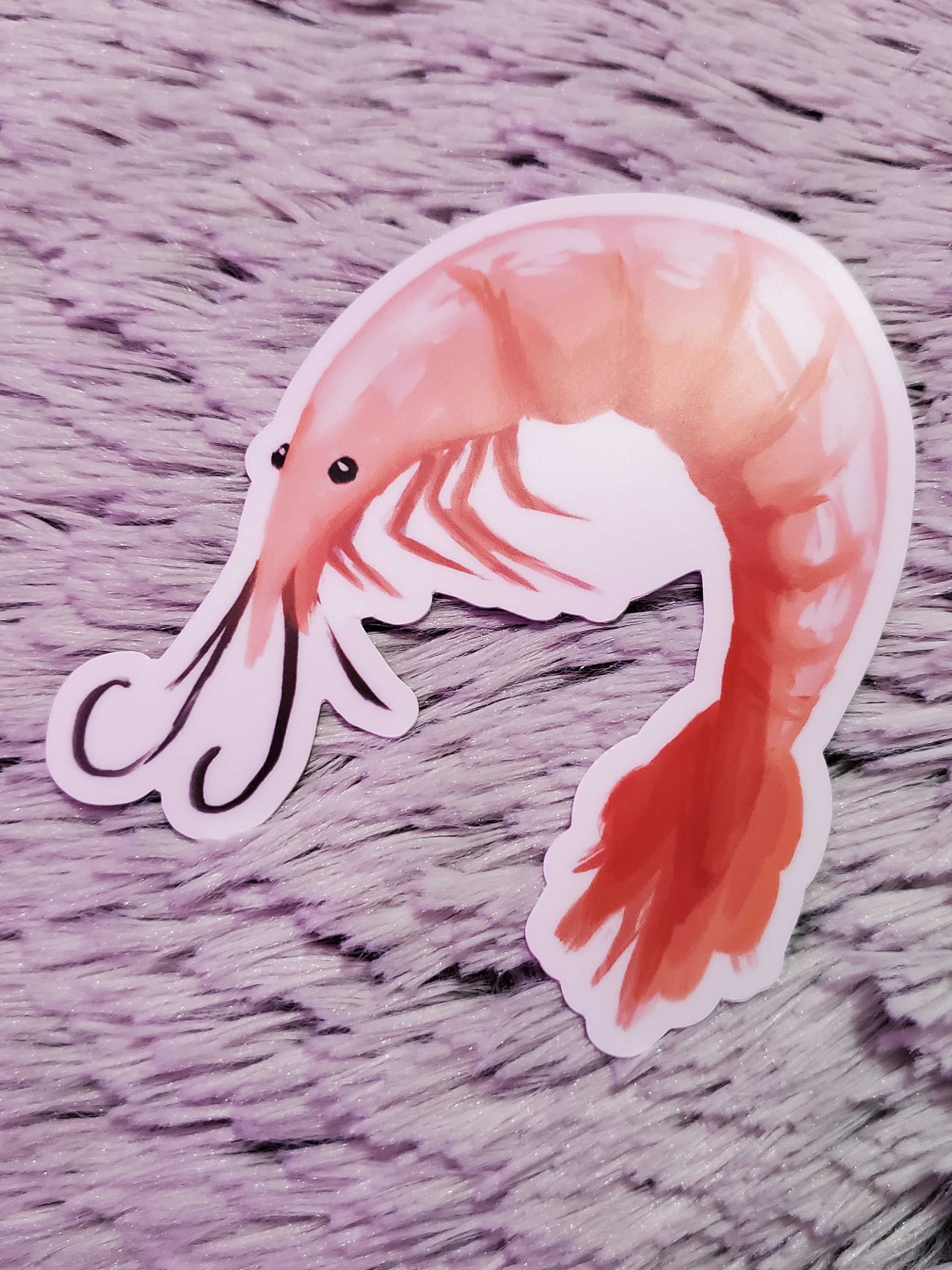 Shrimp Sticker - Etsy