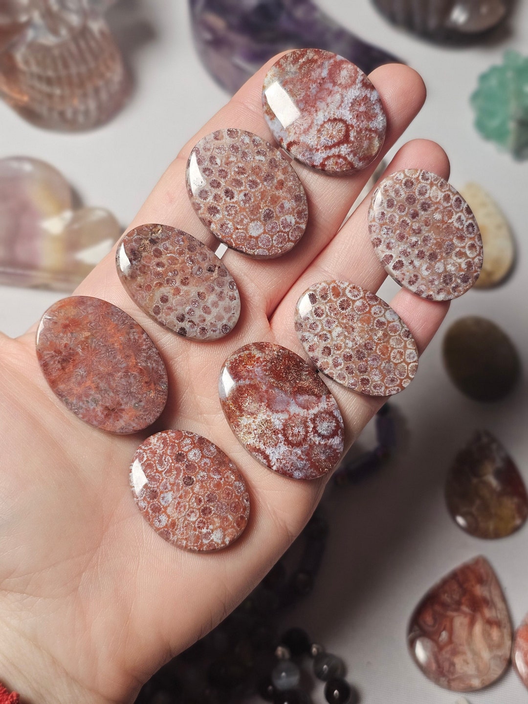Red Fossilized Coral Cabochons, Coral Cabochons for Wire Wrapping or ...