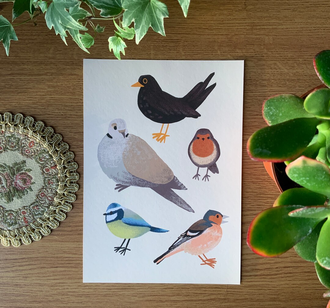 Irish Garden Birds Fine Art Print - Etsy