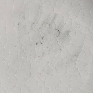 French Heavy Vintage Ceramic Mortar and Pestle, Bright Floral Transferware and Medieval Heads or ...