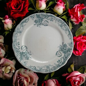 Antique French Imperiale & Royale Nimy Ironstone Flat Plate Multiflore ...