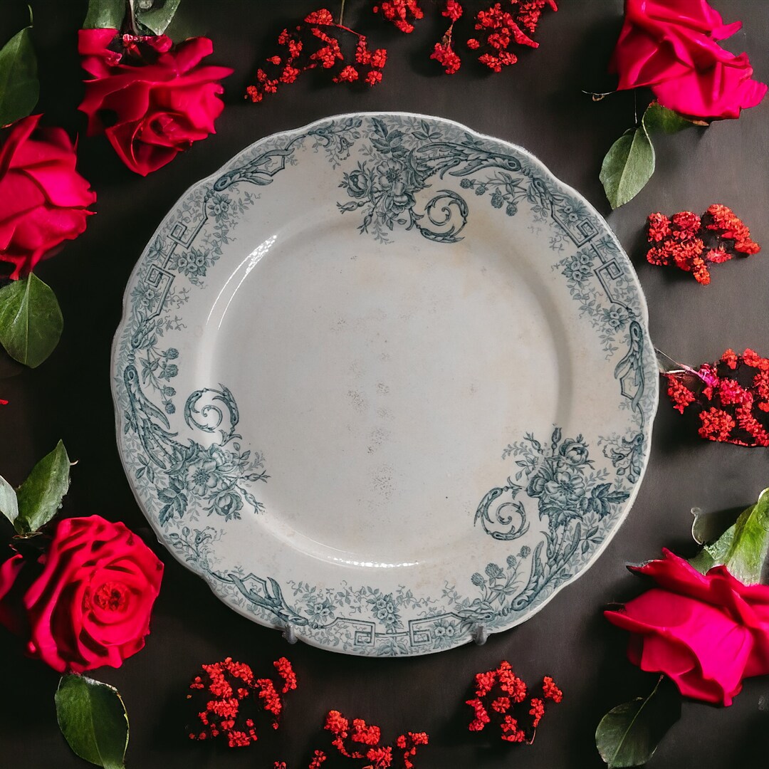 Antique French Imperiale & Royale Nimy Ironstone Flat Plate ...