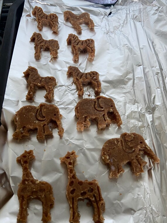 Jungle Mania Snacks | Etsy