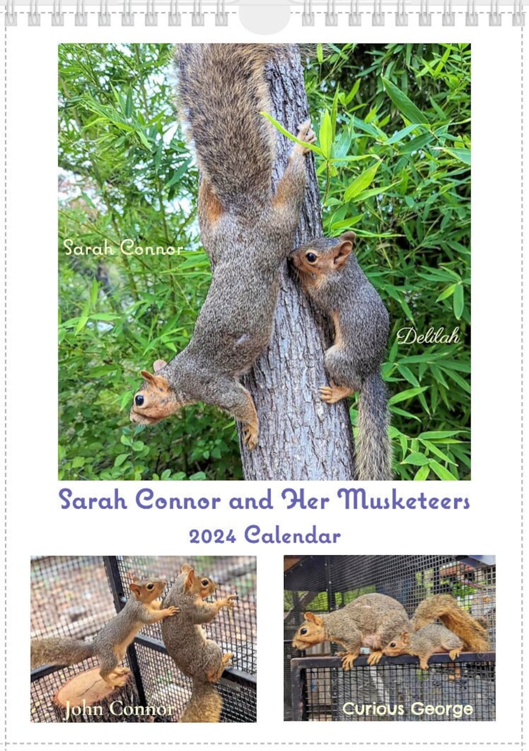 Sarah Connor and Her Musketeers 2024 Squirrel Wall Calendar - Etsy Canada