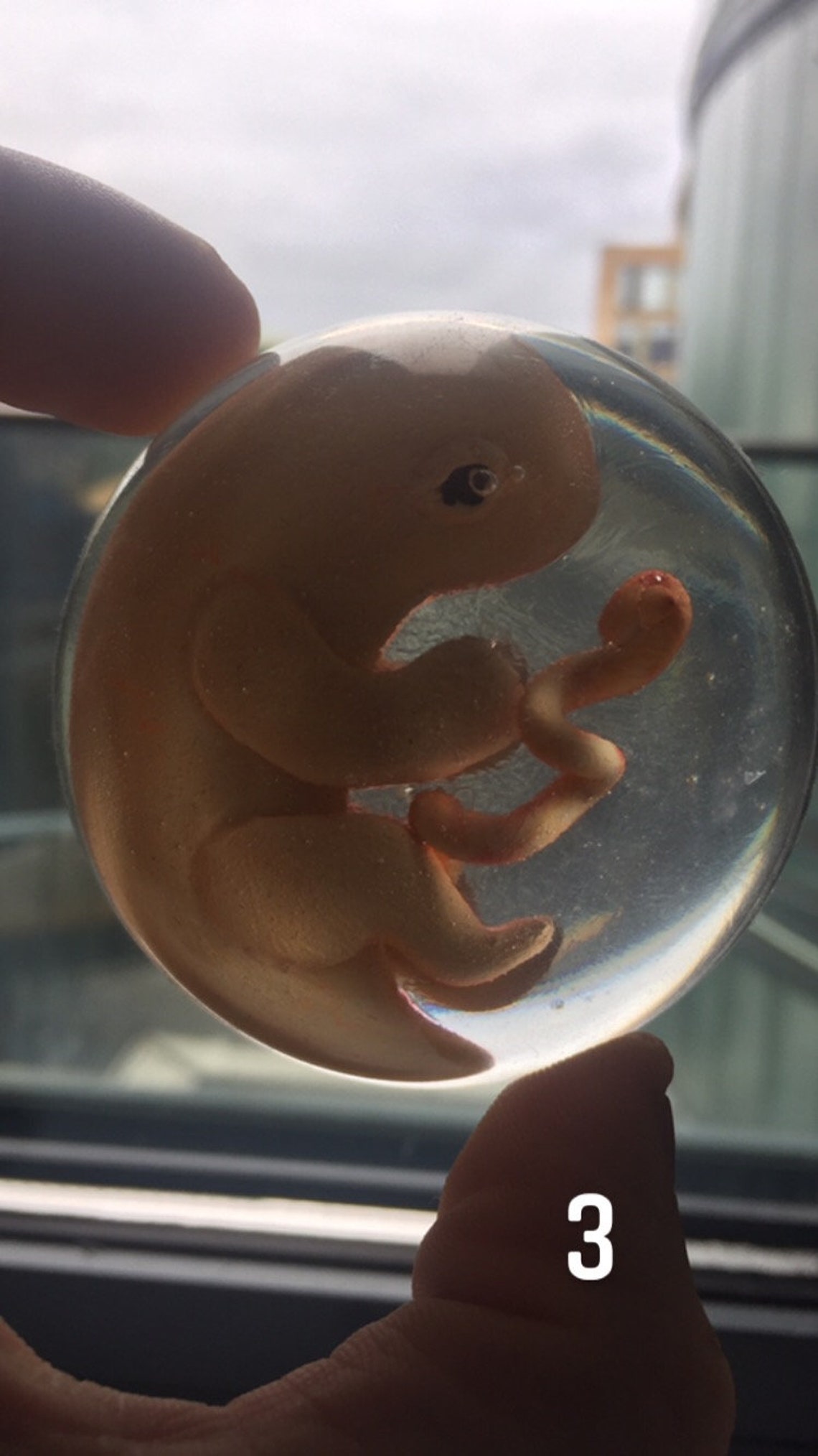 Alien xenomorph Alien covenant horror movie inspired embryo | Etsy