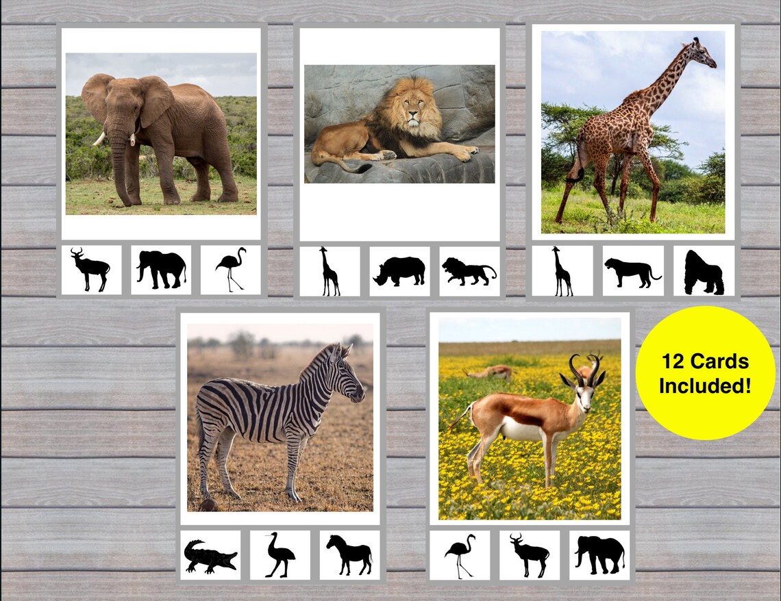 Safari Animal Shadow Matching Clip Cards: Printable Montessori Game ...
