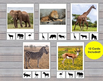Printable African Animal Matching Shadow Cards. Montessori - Etsy