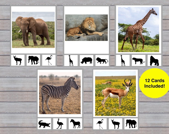 Animals Matching Skin Pattern Learning Game, Toddler, Pre-k ...