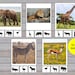 Safari Animal Shadow Matching Clip Cards: Printable Montessori Game ...