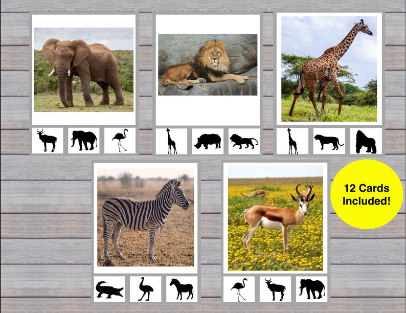 Safari Animal Shadow Matching Clip Cards: Printable Montessori Game ...