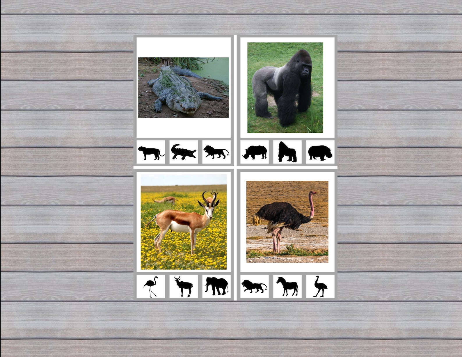 Safari Animal Shadow Matching Clip Cards: Printable Montessori Game ...
