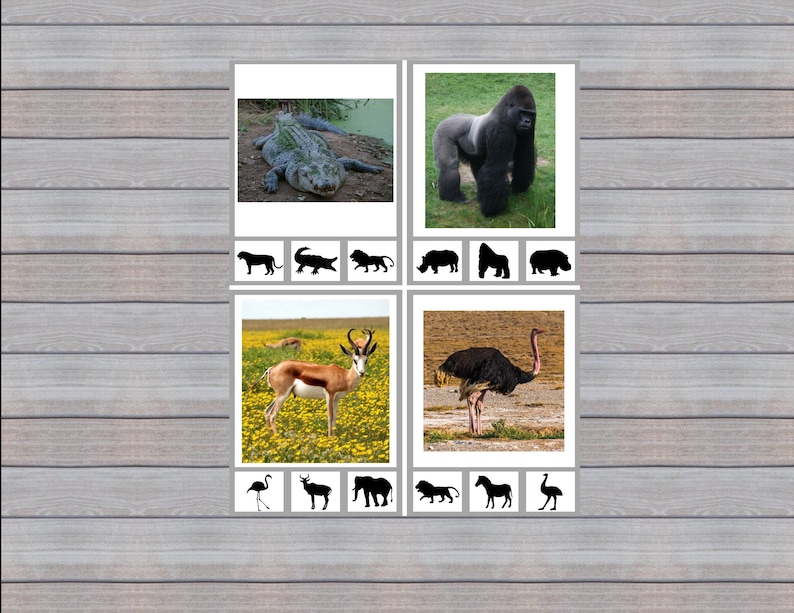 Safari Animal Shadow Matching Clip Cards: Printable Montessori Game ...