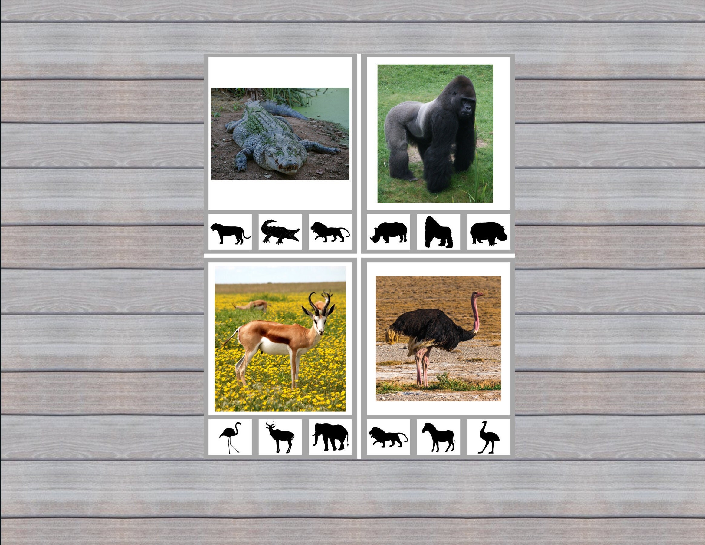 Safari Animal Shadow Matching Clip Cards: Printable Montessori Game ...
