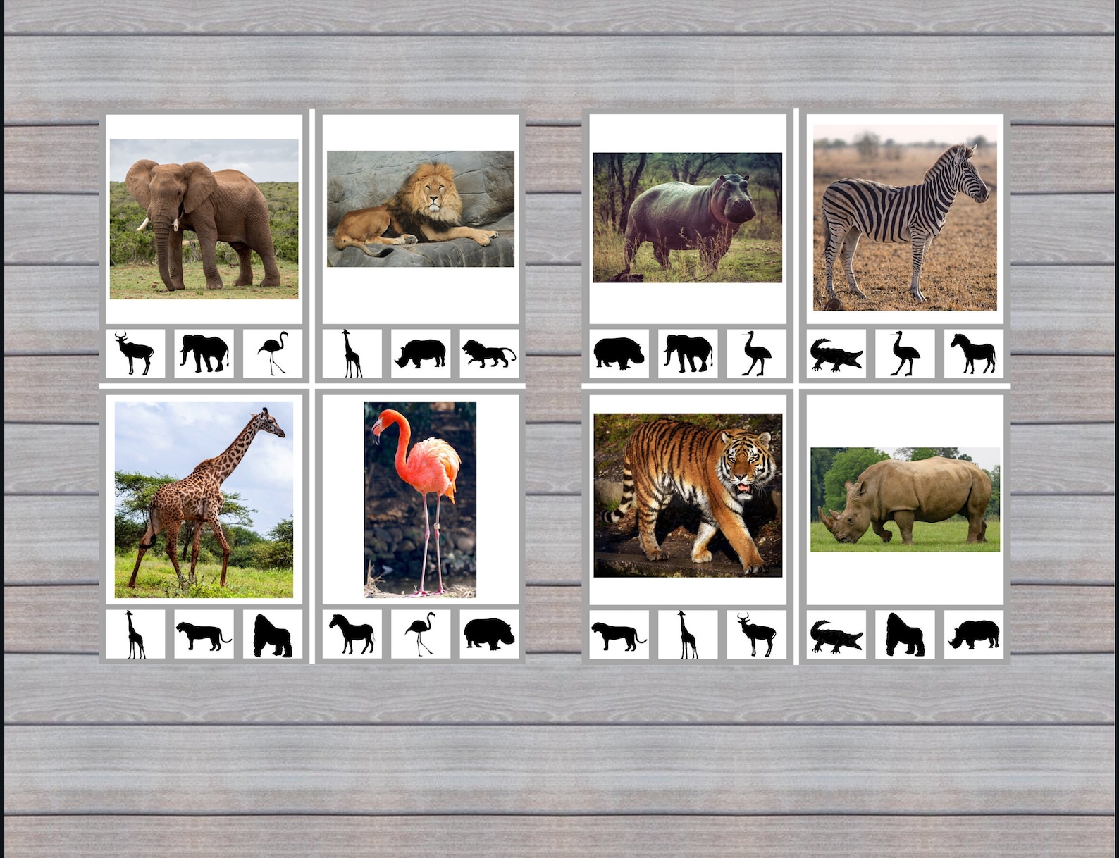 Safari Animal Shadow Matching Clip Cards: Printable Montessori Game ...