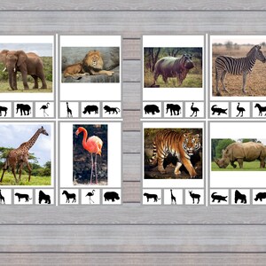 Safari Animal Shadow Matching Clip Cards: Printable Montessori Game ...