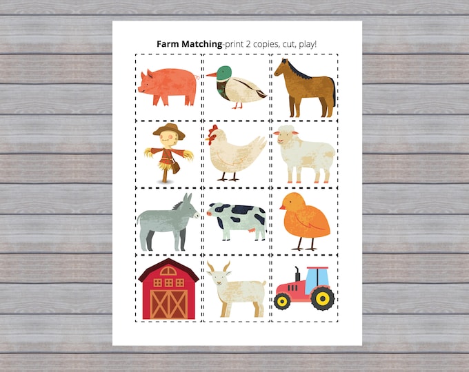 Matching Card Game, Memory Game, Educational Activities, Kids Activity ...