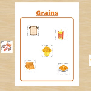 Food Group Sorting Activity: Nutrition Education (PDF) - Etsy