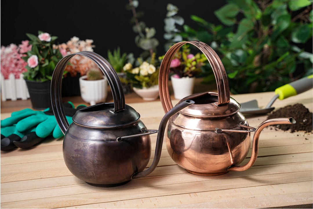 Handmade Patina Copper Watering Can Artisan-made Copper Planter Pot for ...