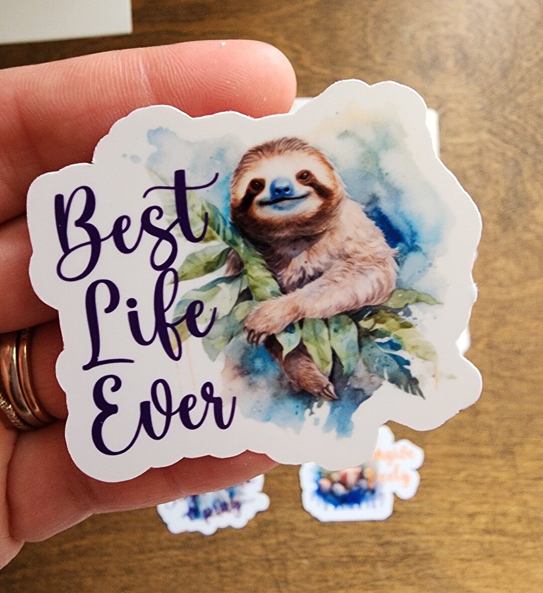 Jw Animal Stickers With Original Songs Gift for Children Young Sister ...