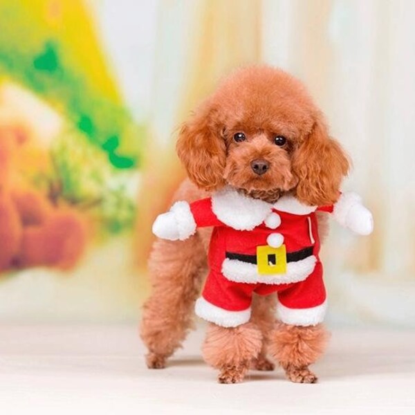 Dog Santa - Etsy