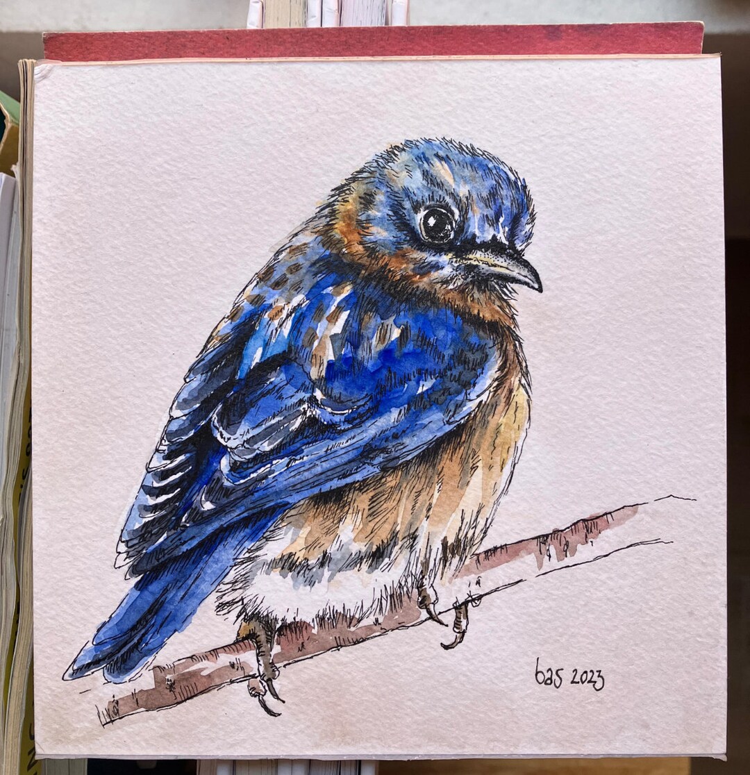 Blue Bird - Original Artwork in Ink and Watercolor - Etsy