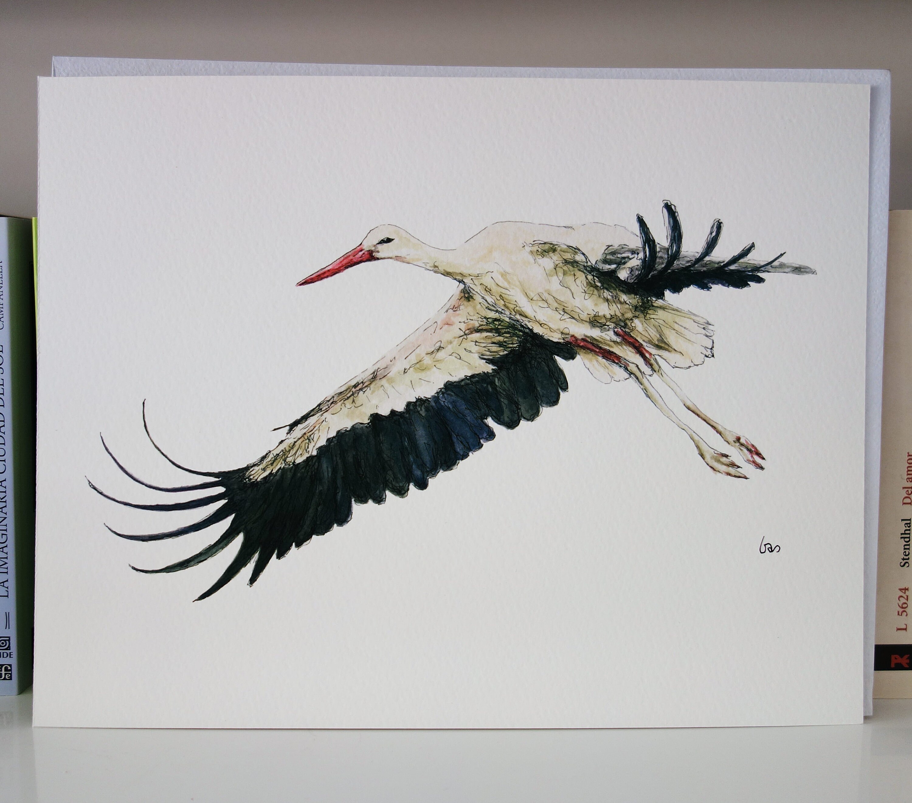 Stork Signed Giclée Print of an Original Illustration in Ink - Etsy UK
