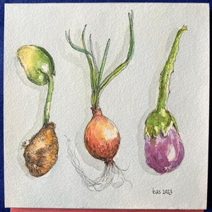 Vegetables - Ink and Watercolor Illustration - Etsy